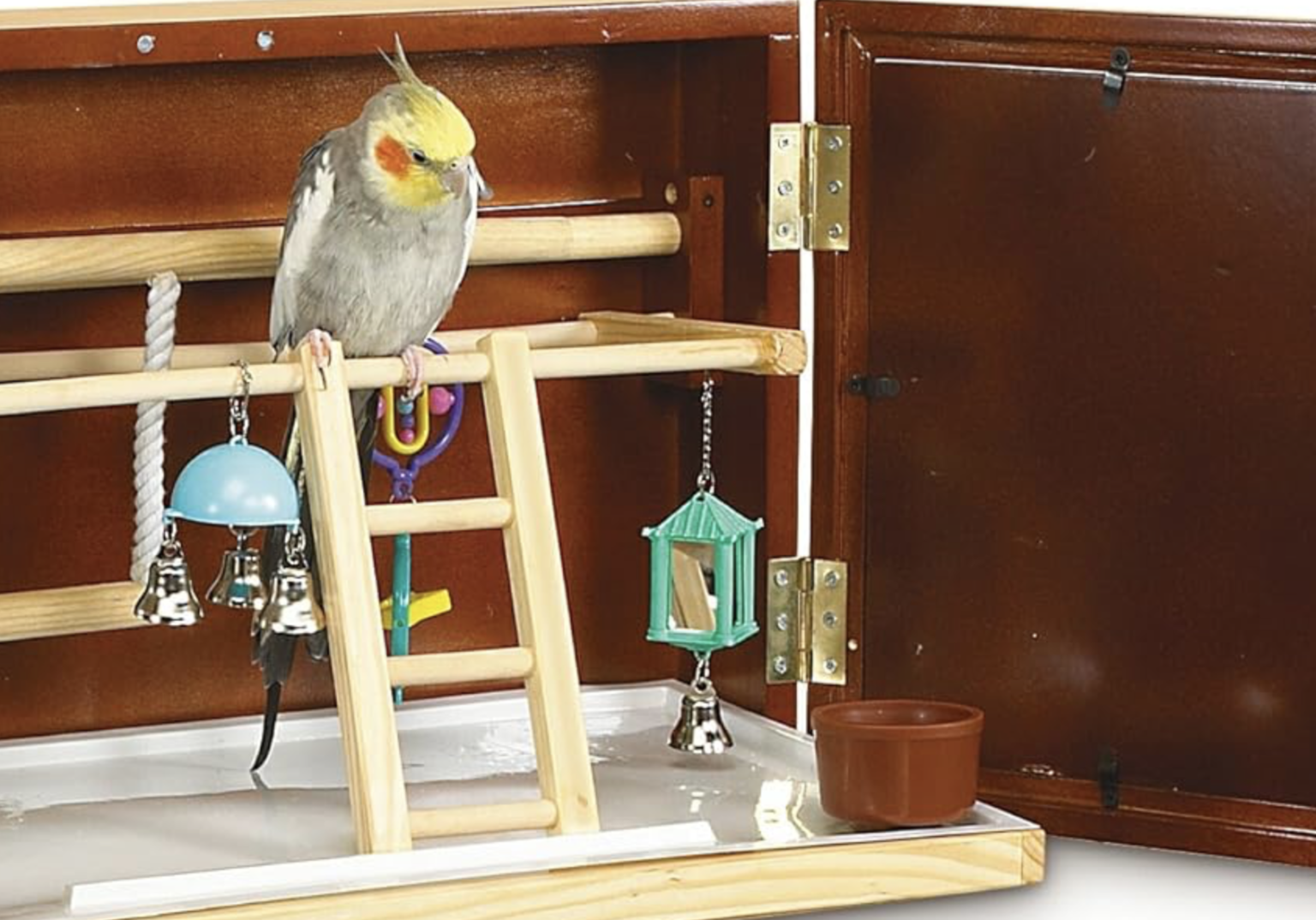 Find A Cockatiel Playground Your Bird Will Love - Cockatiels As Pets